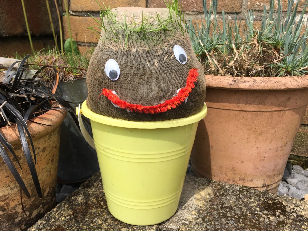 Grow your own grass head – Nature Grow and Learn