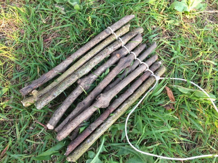 How to make a mini raft from sticks – Nature Grow and Learn